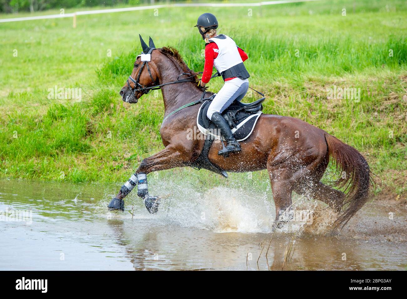 Eventing: equestrian rider jumping over an a log fence obstacle in ...