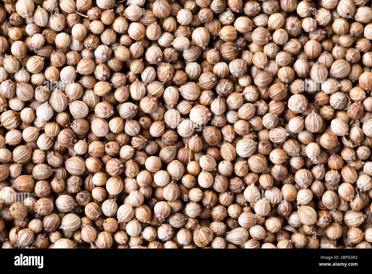 Whole coriander seeds texture or background Stock Photo - Alamy