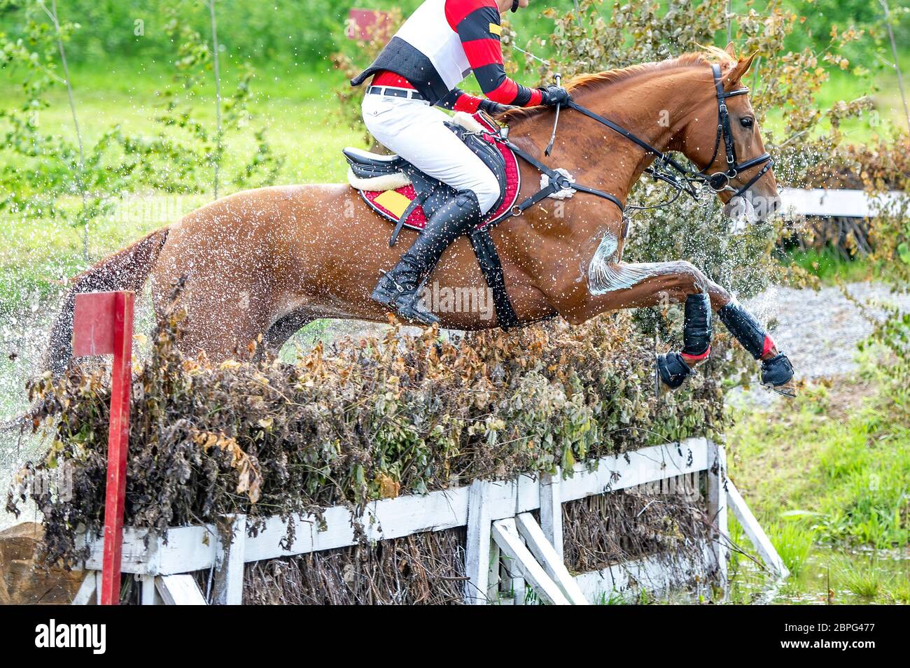 Eventing: equestrian rider jumping over an a brance fence water ...