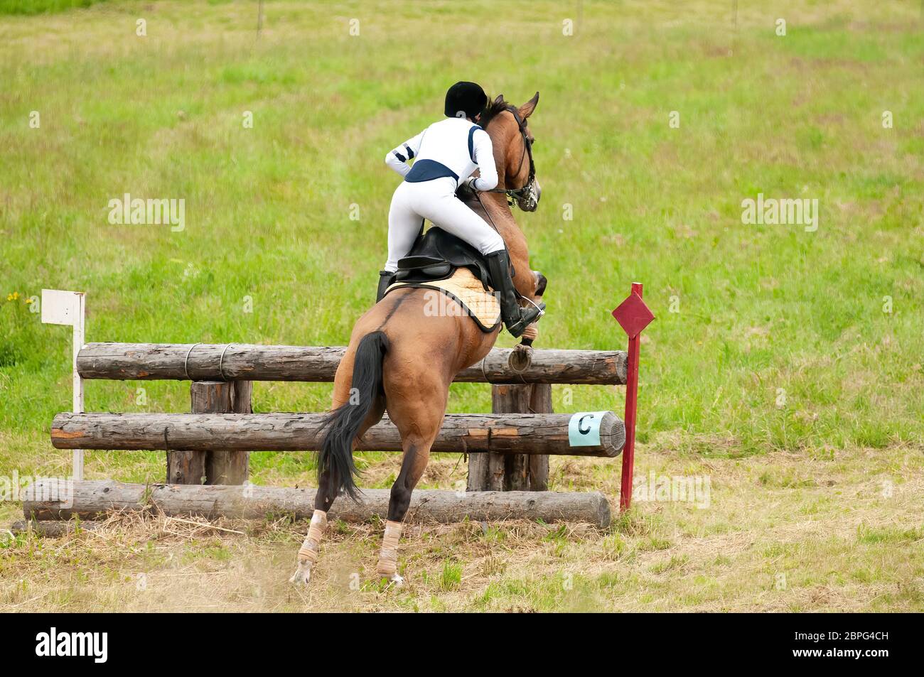 Eventing: equestrian rider jumping over an a log fence obstacle Stock ...
