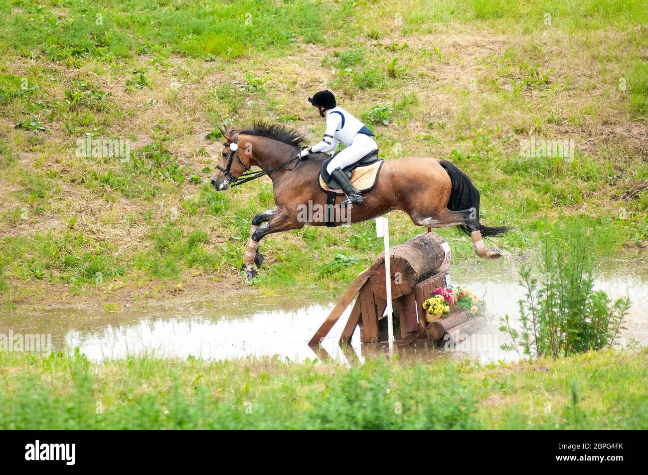 Eventing: equestrian rider jumping over an a log fence water obstacle ...