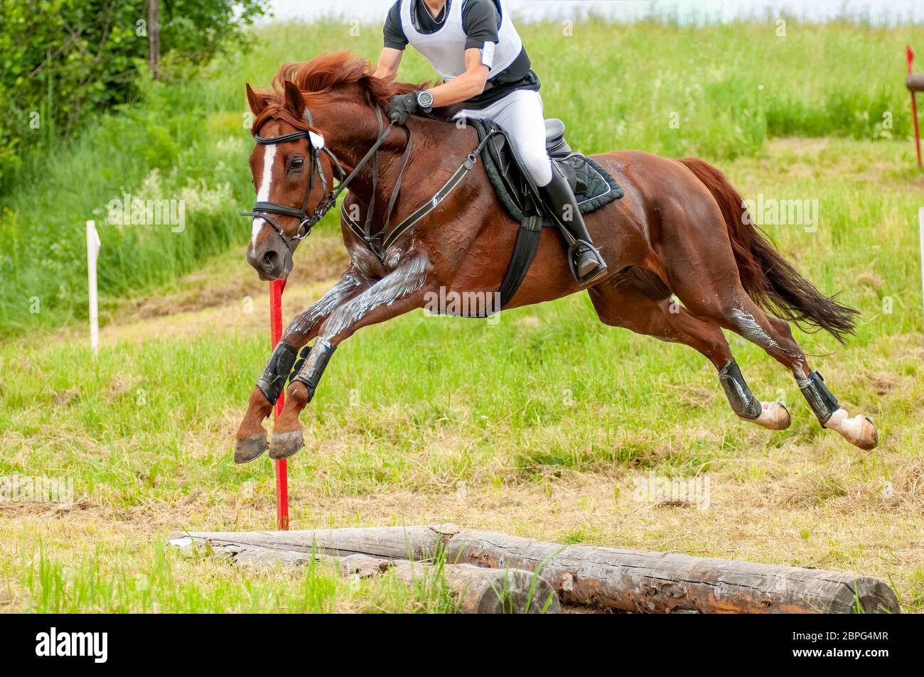 Eventing: equestrian rider jumping over an a log fence obstacle Stock ...