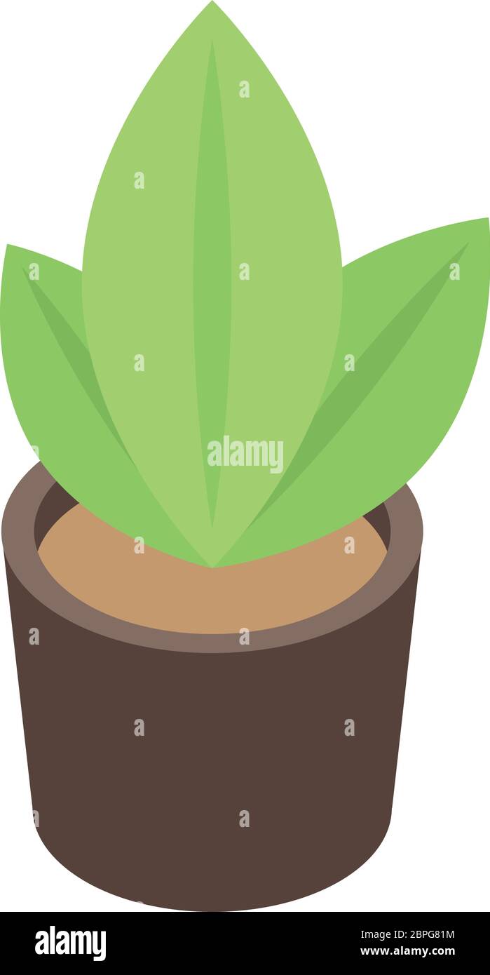 Plant pot icon, isometric style Stock Vector Image & Art - Alamy