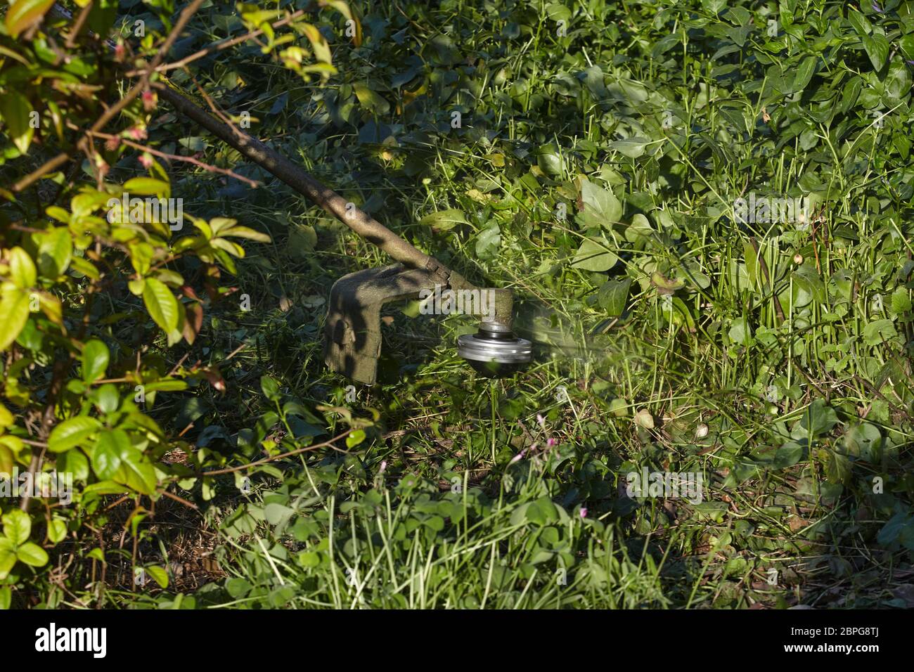 Machine cuts hi-res stock photography and images - Alamy