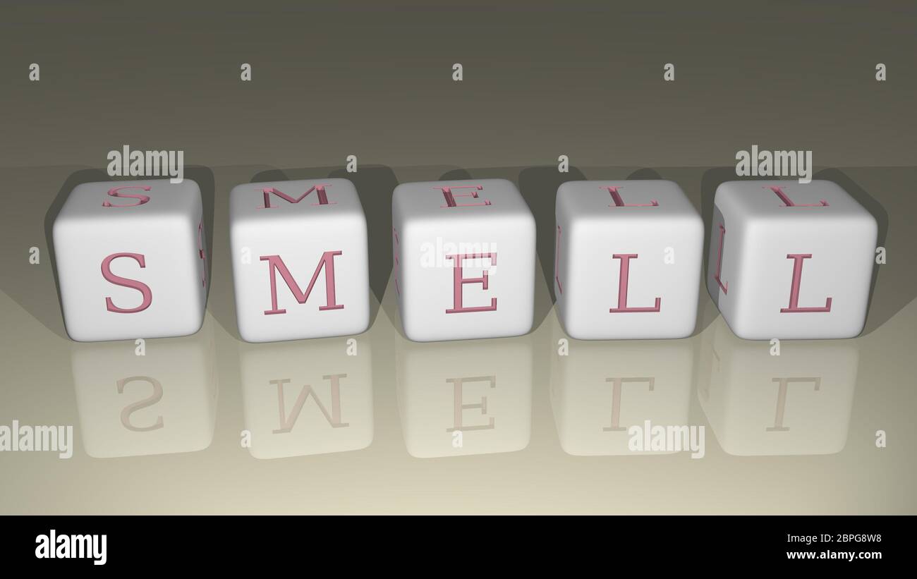alphabetic SMELL arranged by cubic letters on a mirror floor, concept ...