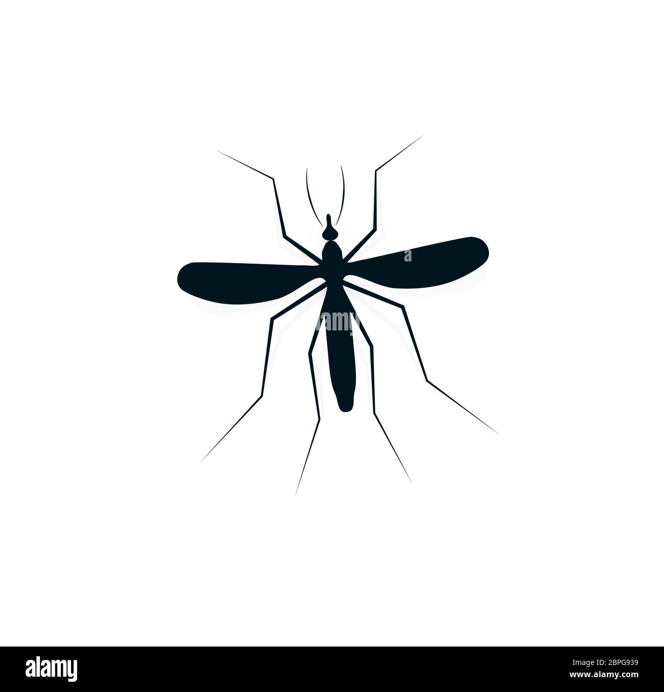 Anopheles mosquito logo. Dangerous bloodsucking insect logotype. Flying ...