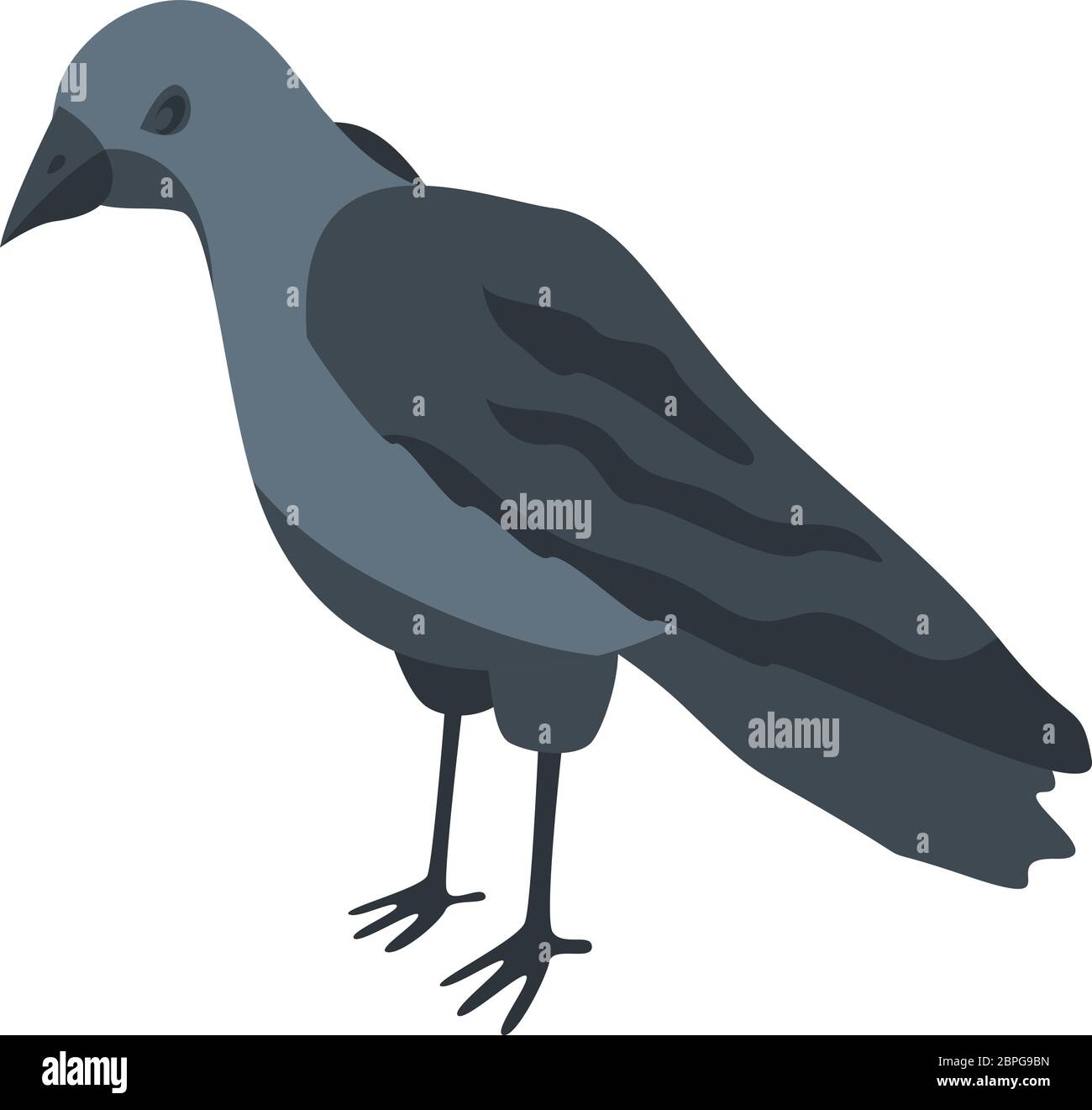 Silhouette raven corvus corax Cut Out Stock Images & Pictures - Alamy