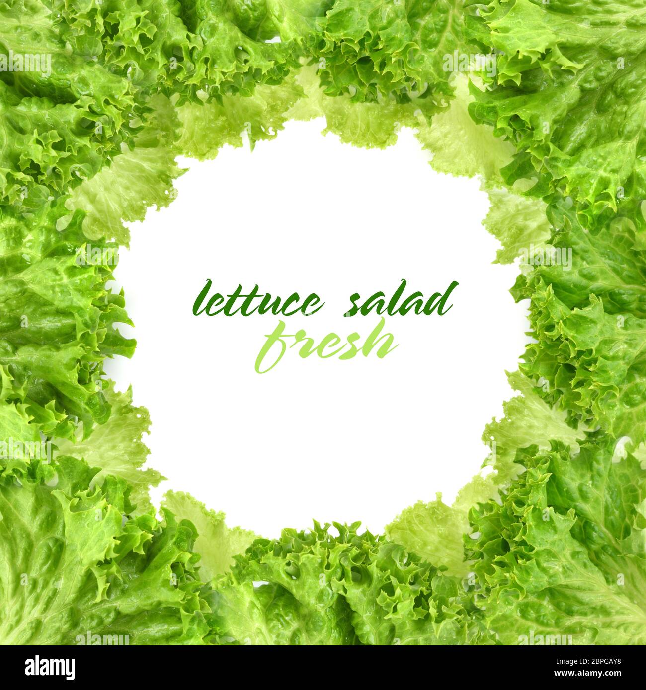 Frame of fresh lettuce leaves on white background Stock Photo - Alamy