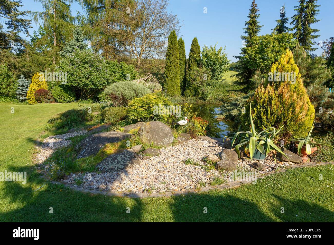 Beautiful spring garden with ornamental conifers and small garden pond ...