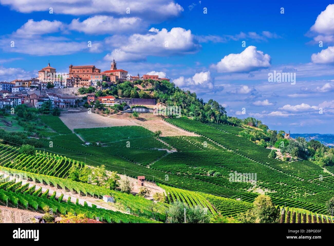 La morra comune hi-res stock photography and images - Alamy