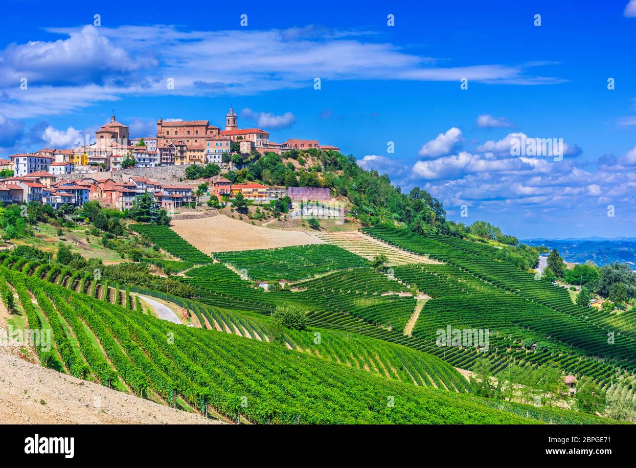 La morra comune hi-res stock photography and images - Alamy