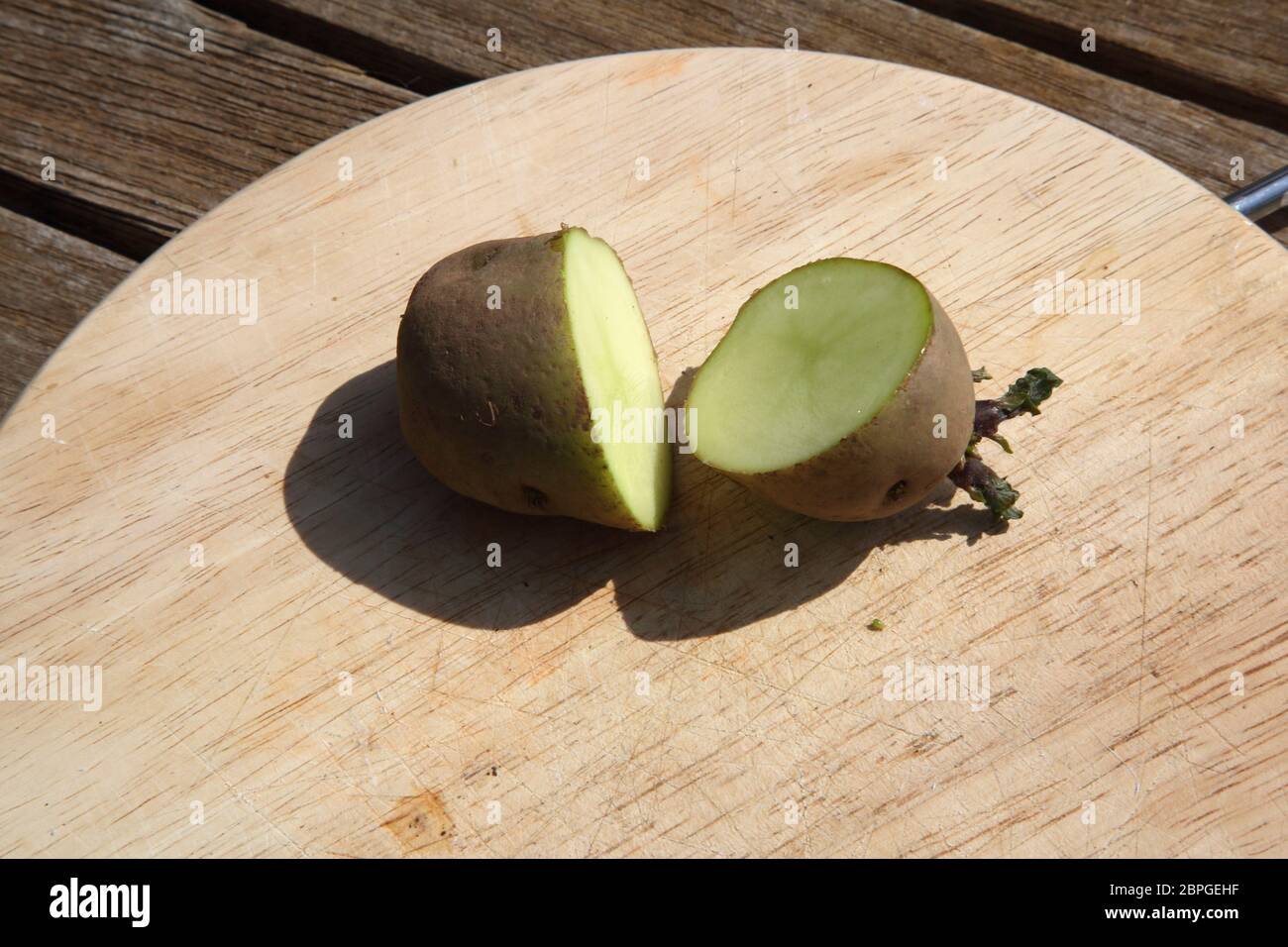 Planting chit potatoes hi-res stock photography and images - Alamy