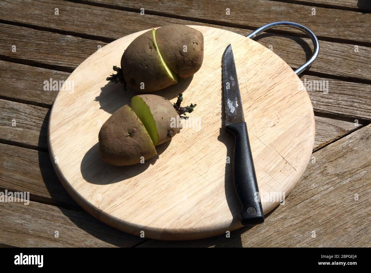 Planting chit potatoes hi-res stock photography and images - Alamy