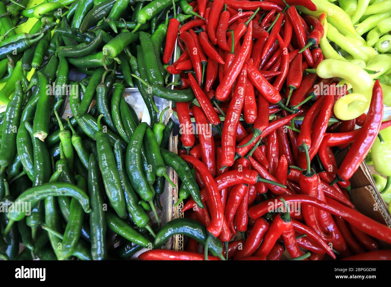 Colorful hot peppers. Chili peppers pattern Stock Photo - Alamy