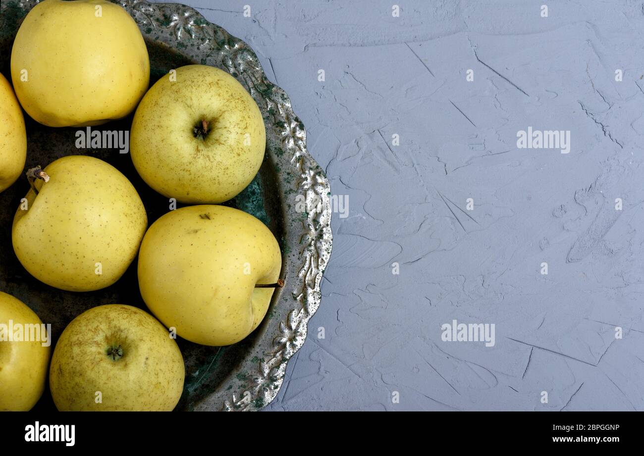 ripe fresh yellow apples in an iron plate on a gray background, copy ...