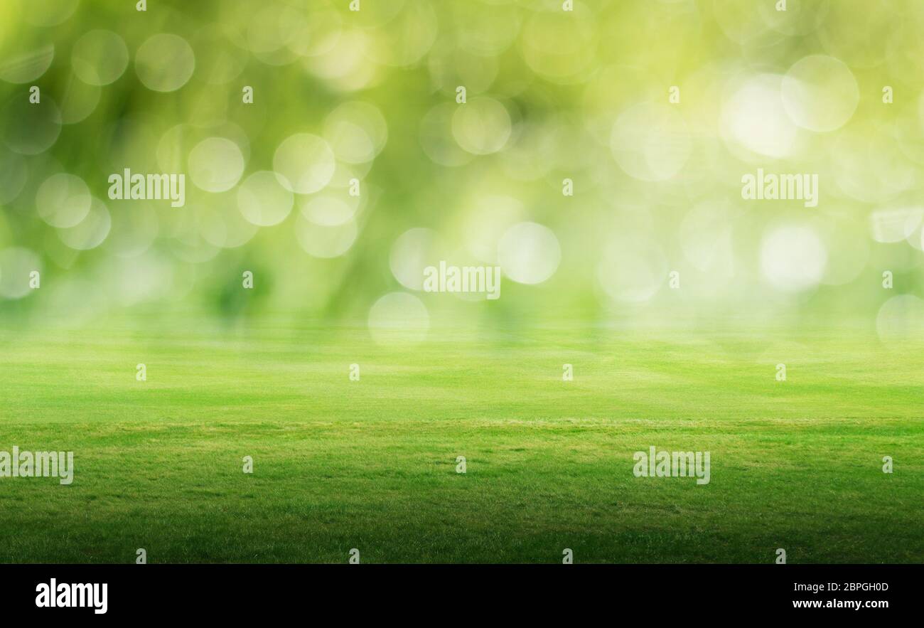 Panoramic field landscape. Summer background Stock Photo - Alamy