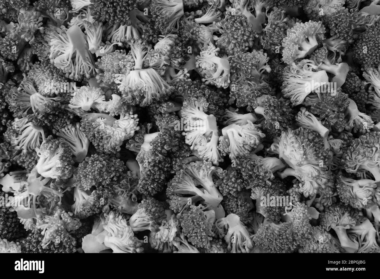 Broccoli Black and White Stock Photos & Images - Alamy