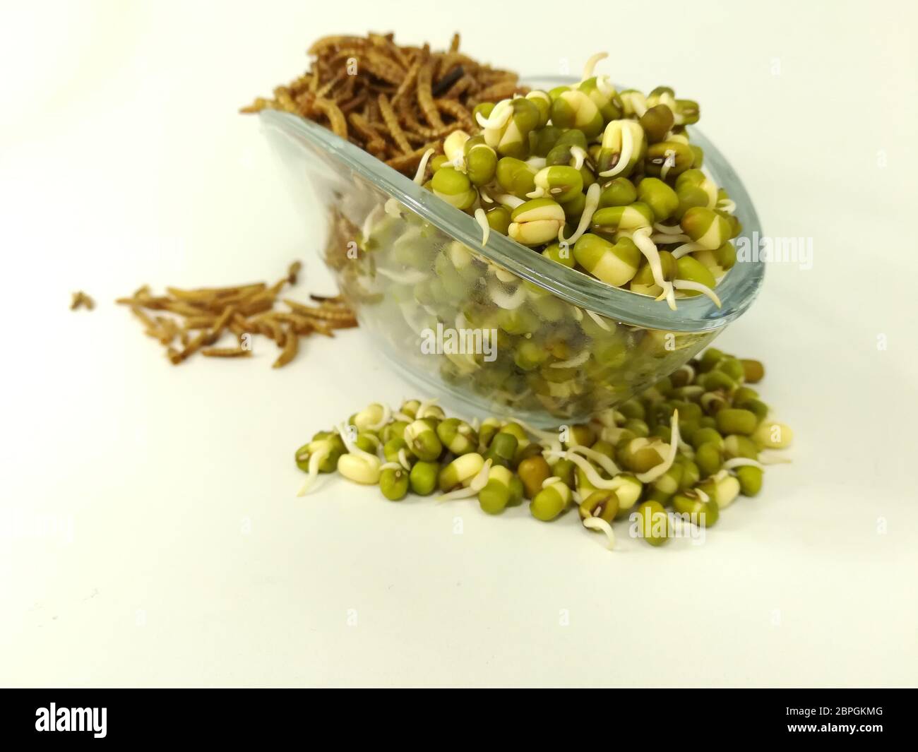 Freeze dried insects hi-res stock photography and images - Alamy