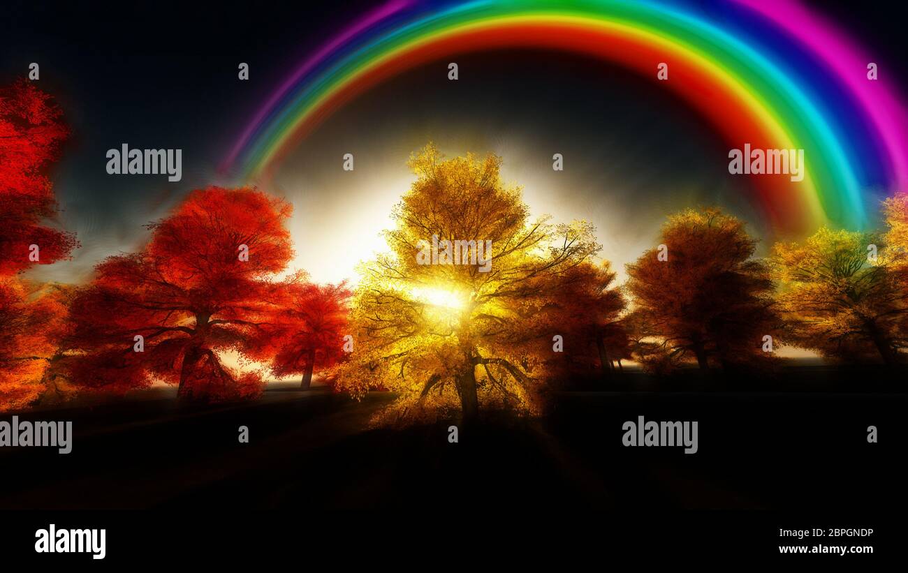 Rainbow over the forest hi-res stock photography and images - Alamy