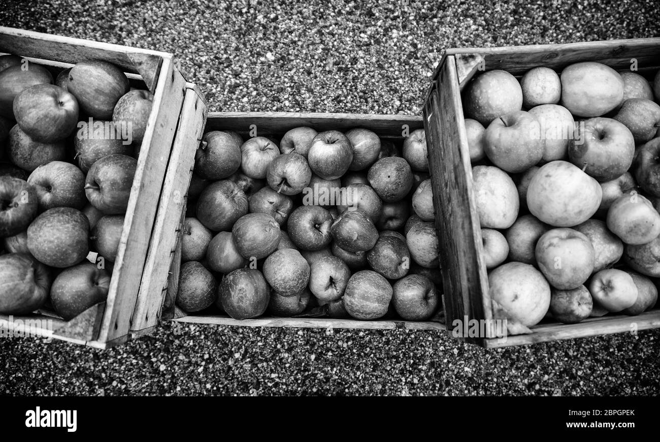 Red apples market Black and White Stock Photos & Images - Alamy
