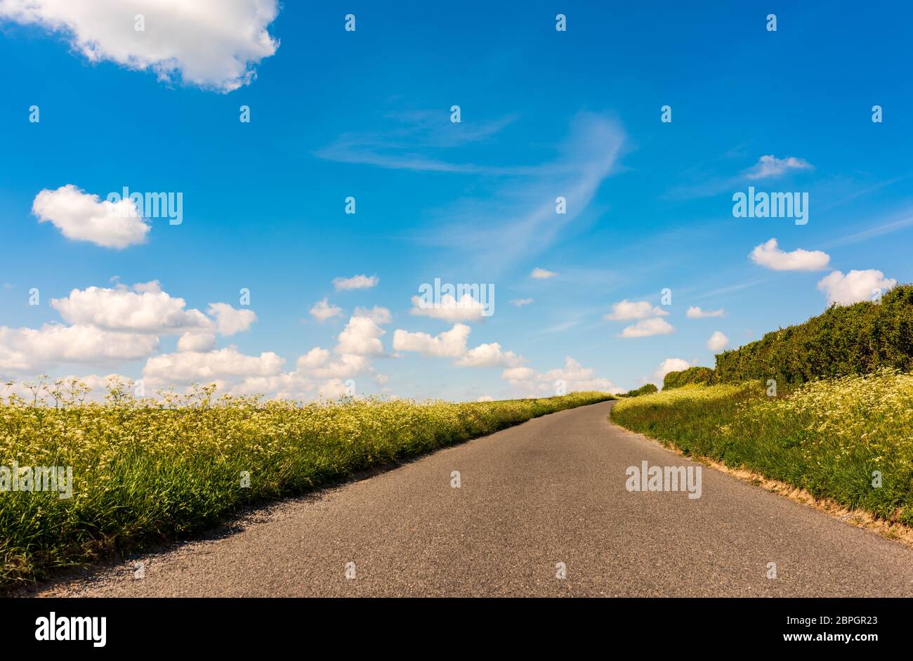 sunny road on cambridgeshire Stock Photo - Alamy
