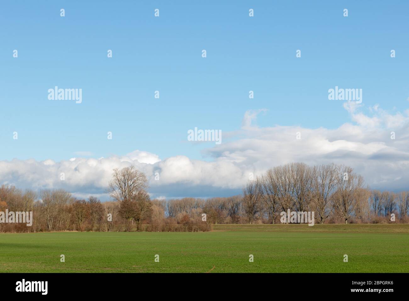 Frankenthal hi-res stock photography and images - Alamy