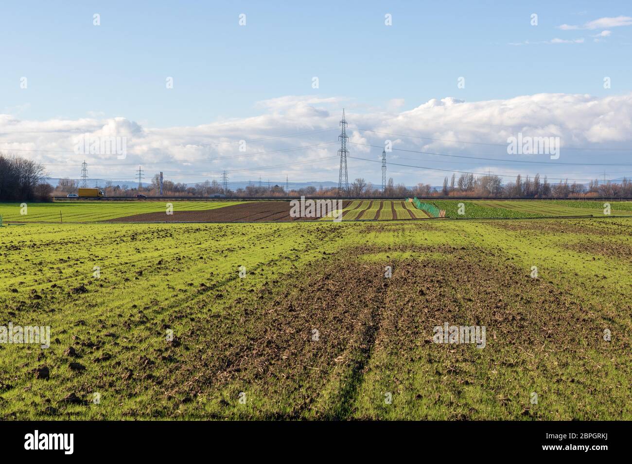 empty-fields-in-winter-in-countryside-nature-in-frankenthal-germany-stock-photo-alamy