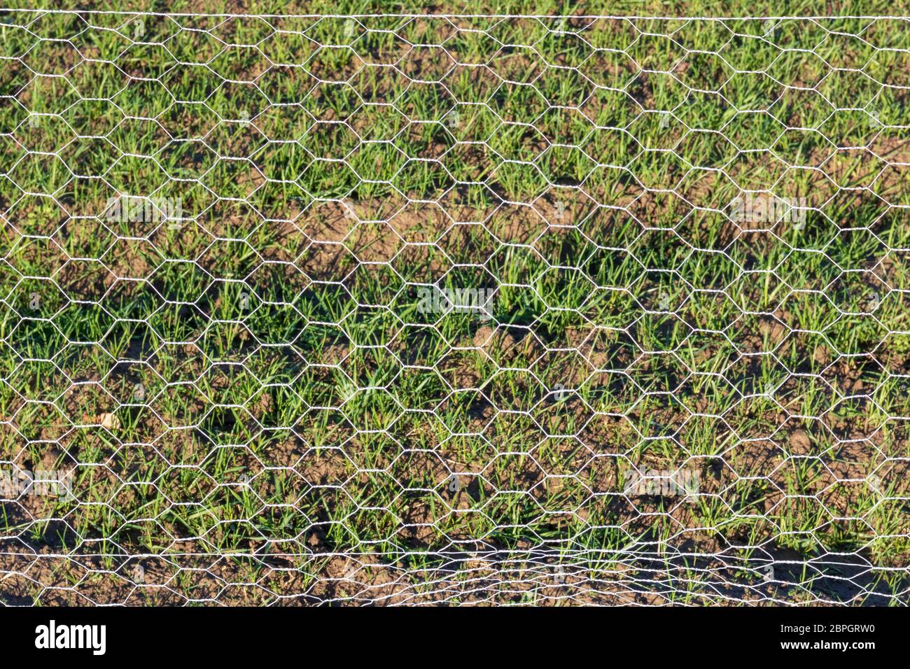 Metal mesh fence hi-res stock photography and images - Alamy