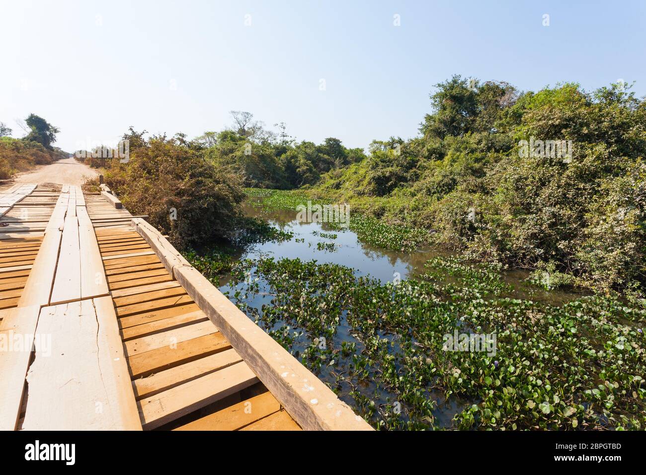 Pantanal bridge hi-res stock photography and images - Alamy