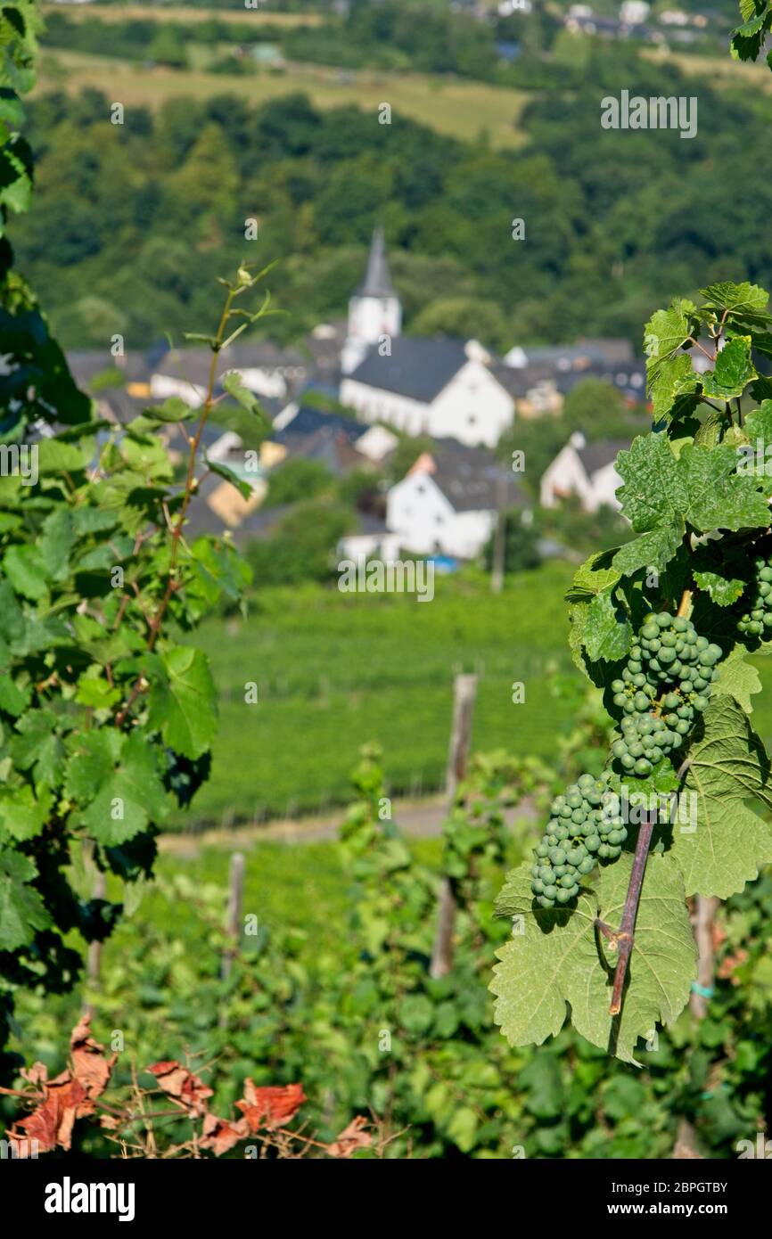 Lieser castle hi-res stock photography and images - Alamy