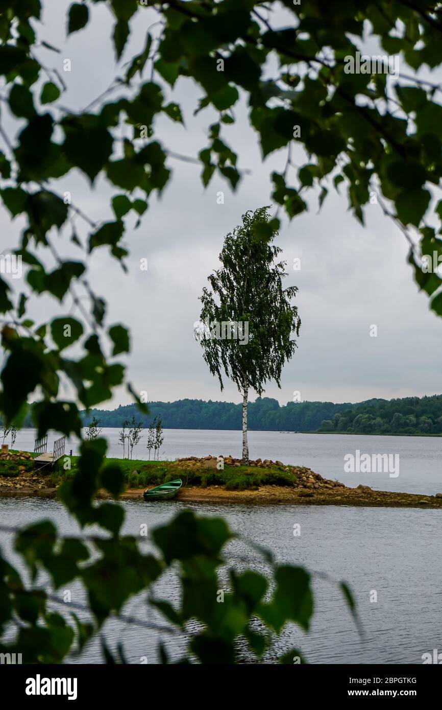Daugava River near Koknese. Island with birch and boat in Daugava river ...