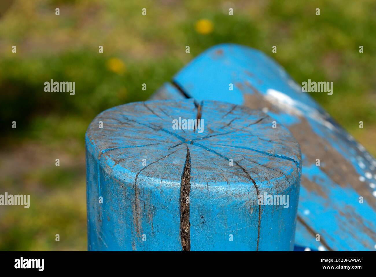 Blue wooden stake, wooden pole, Germany, Europe Stock Photo - Alamy