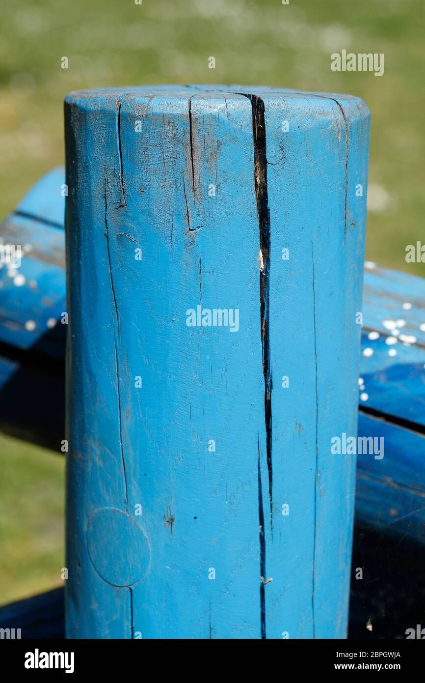Blue wooden stake, wooden pole, Germany, Europe Stock Photo - Alamy