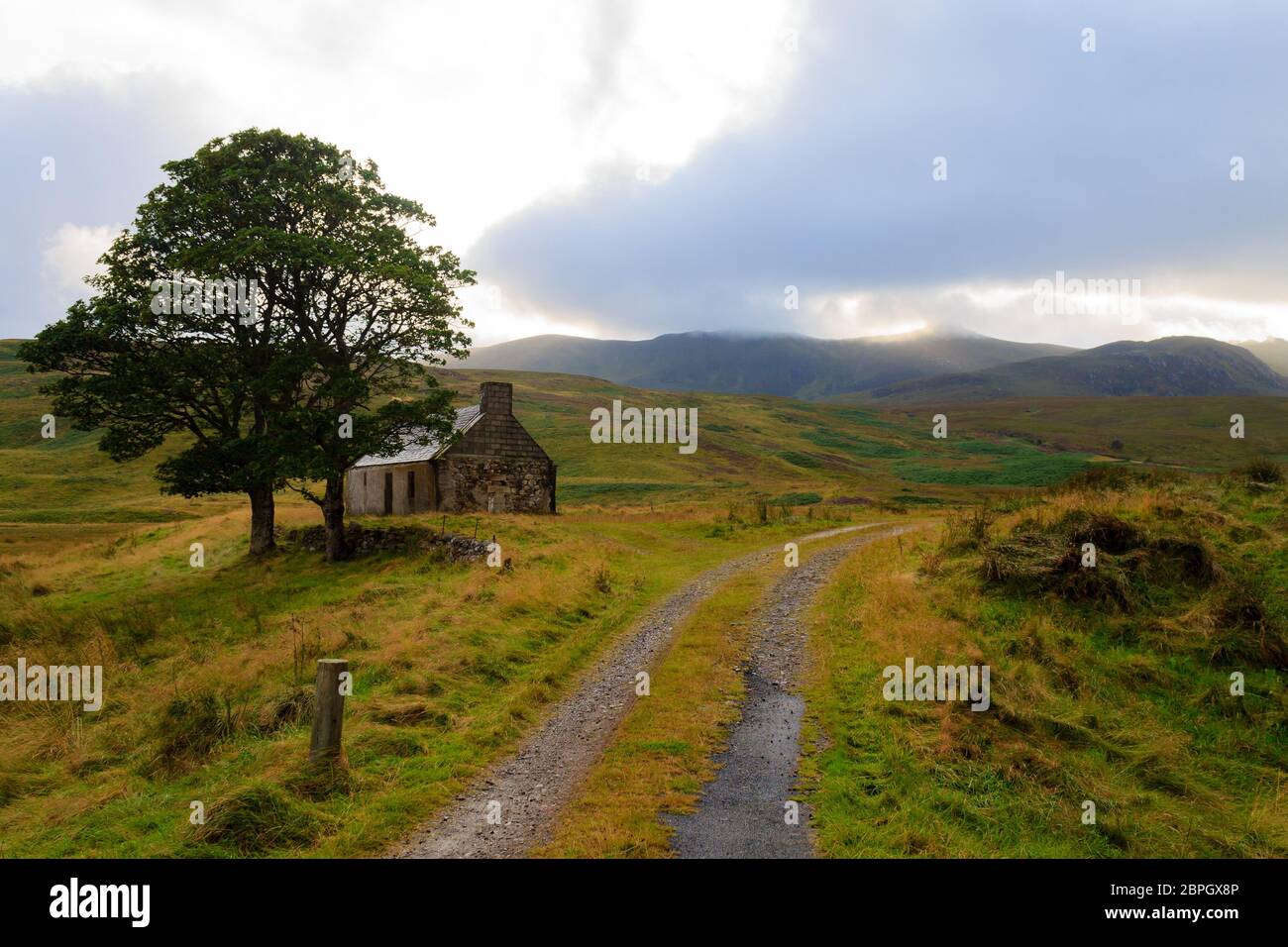 Scottish road trough countryside. Perspective road. Scotland panorama ...