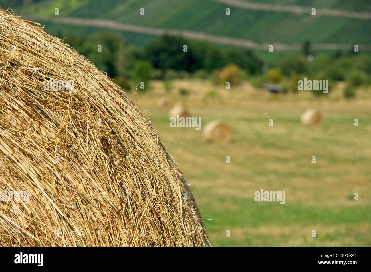 Cylinder hay bail hi-res stock photography and images - Alamy