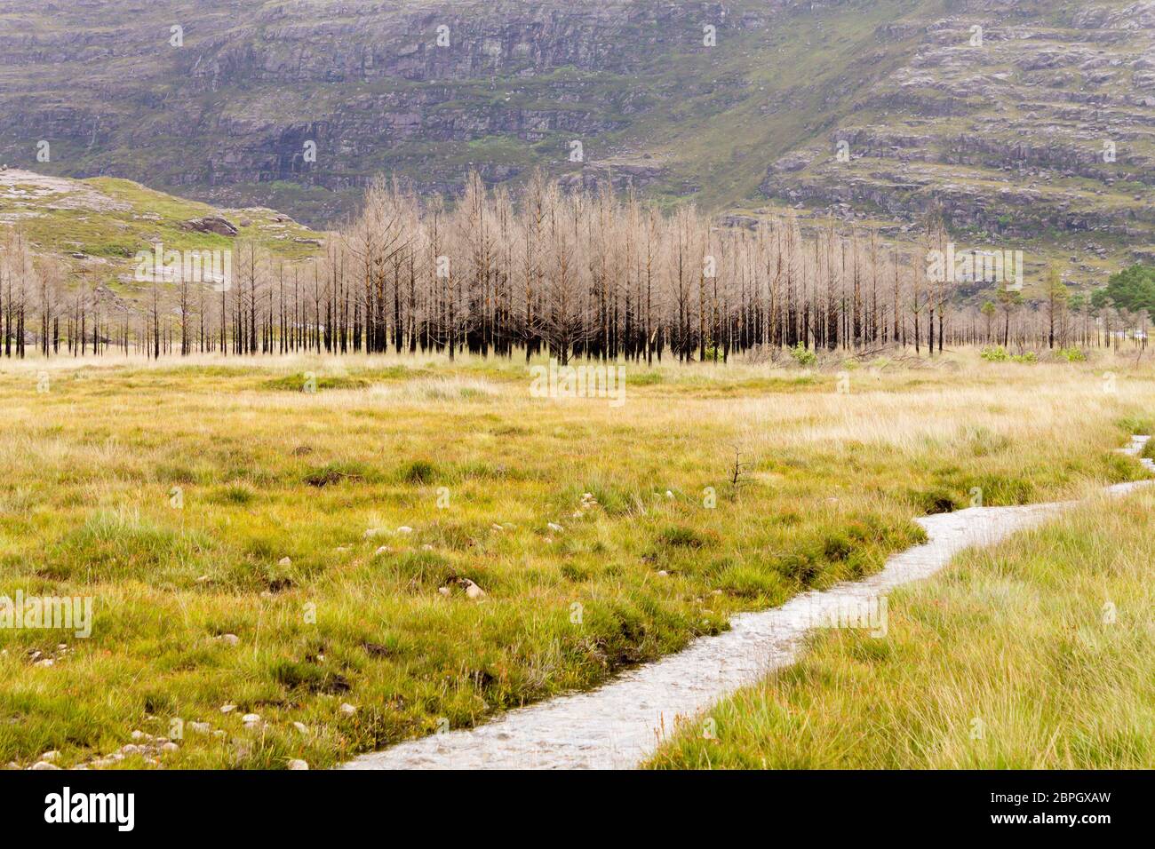 Scottish river trough countryside. Perspective river view. Scotland ...