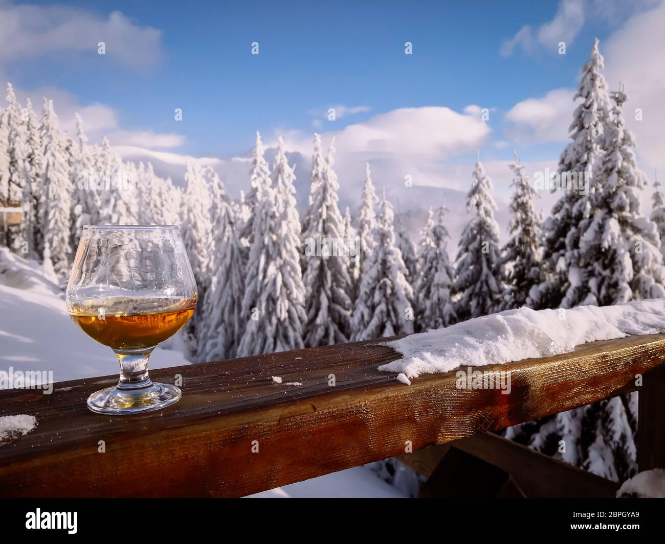 Close up shot of a glass of alcohol backed by some trees with snow ...