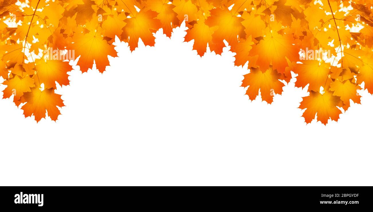 Fall Leaf Corner Border