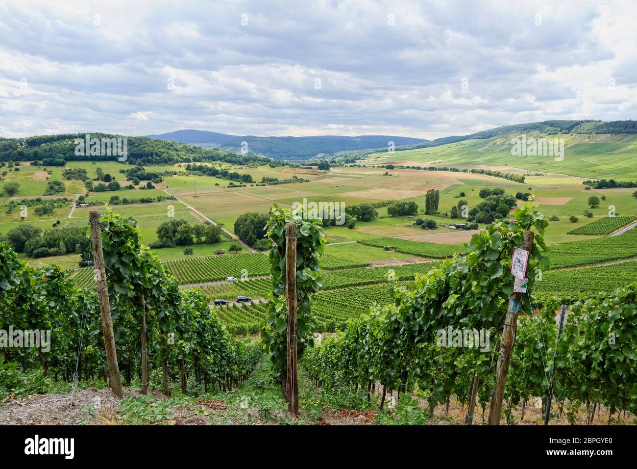Lieser Germany - 29 July 2015 - Vineyards near Lieser in Moselle Valley ...