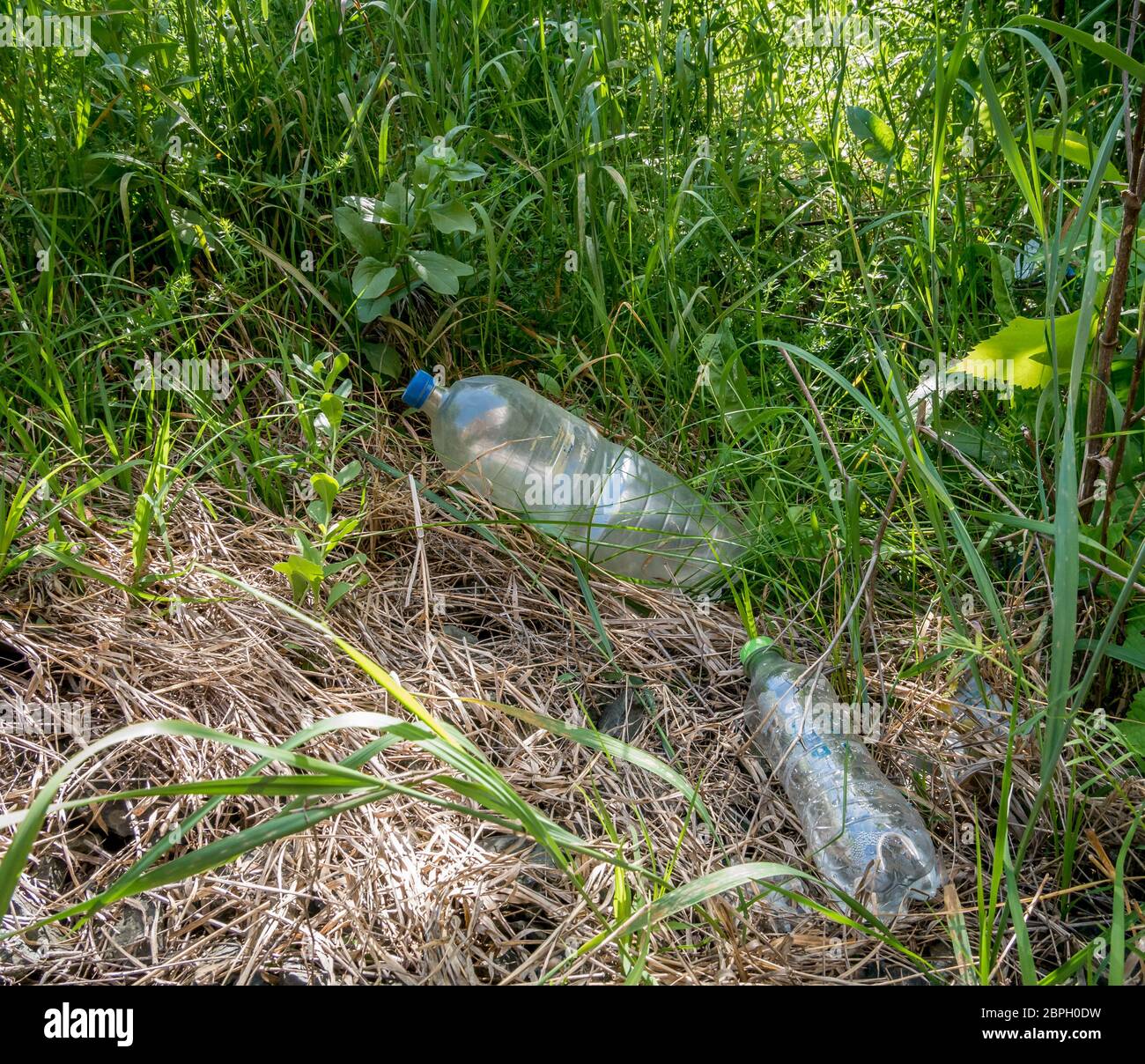 Plastic bottles (PET) on the grass. Pollution of nature by human ...