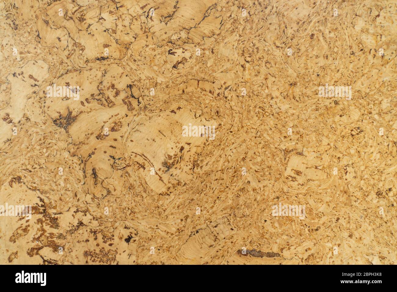 natural cork texture with natural spots. natural wood background Stock ...