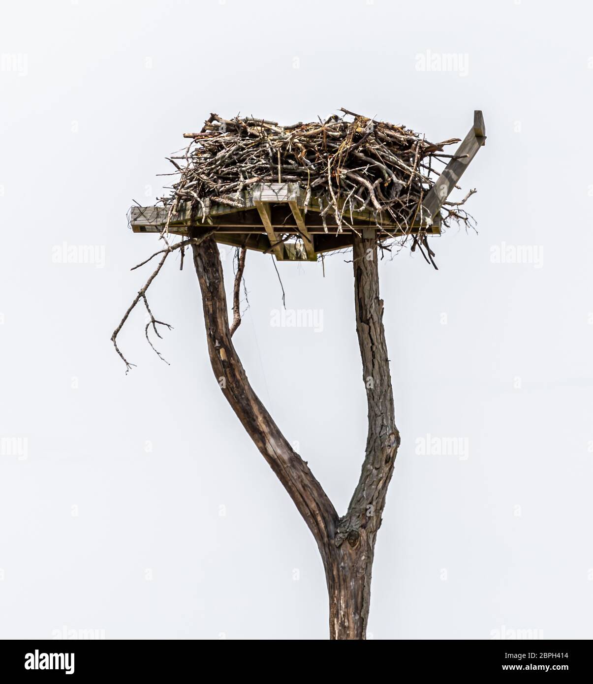 Platform of sticks hi-res stock photography and images - Alamy