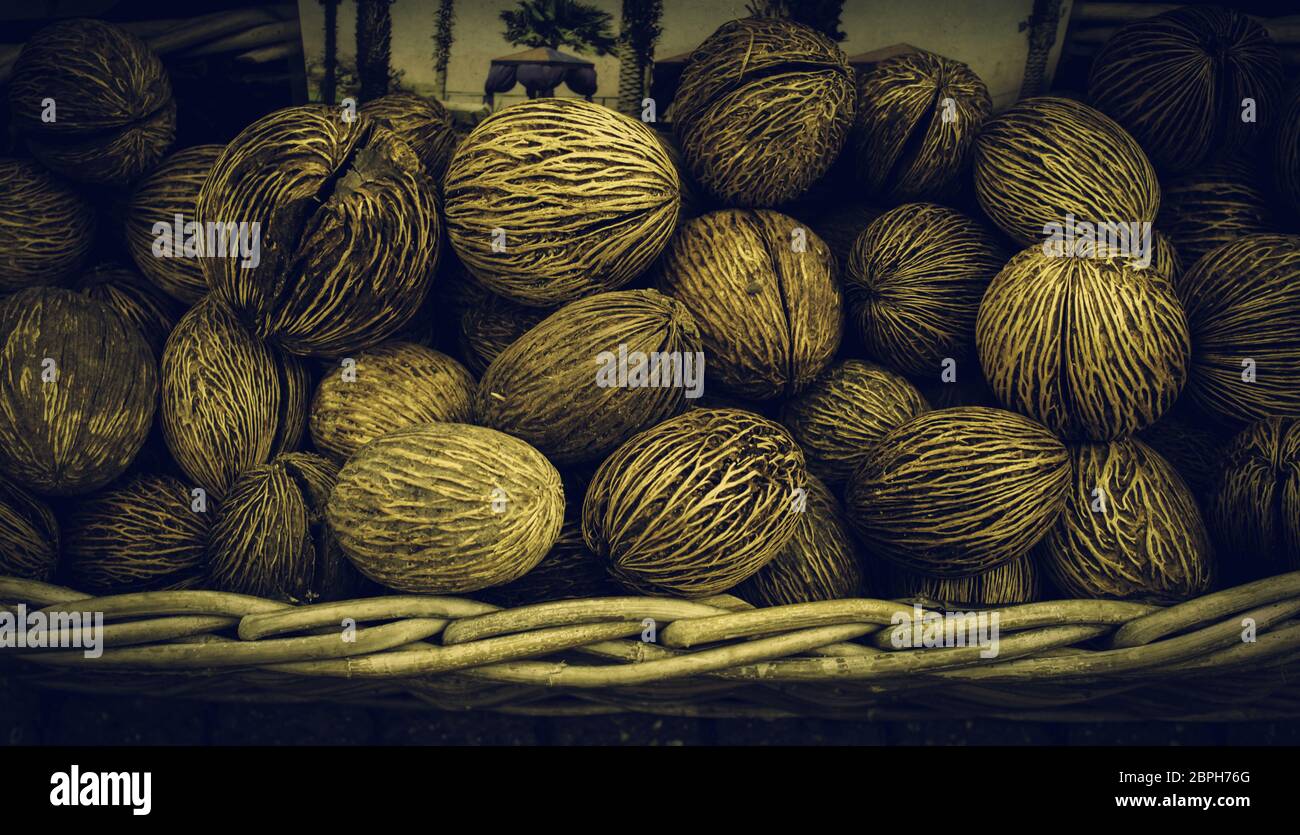 Coconut bulbs in plant market, organic farming Stock Photo - Alamy