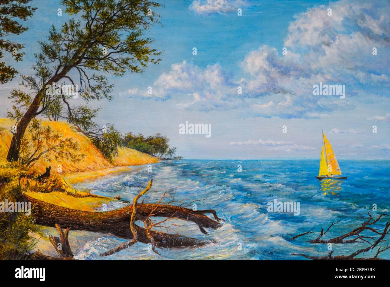 boat with a sail by the sea and a tree felled by a storm Stock Photo ...