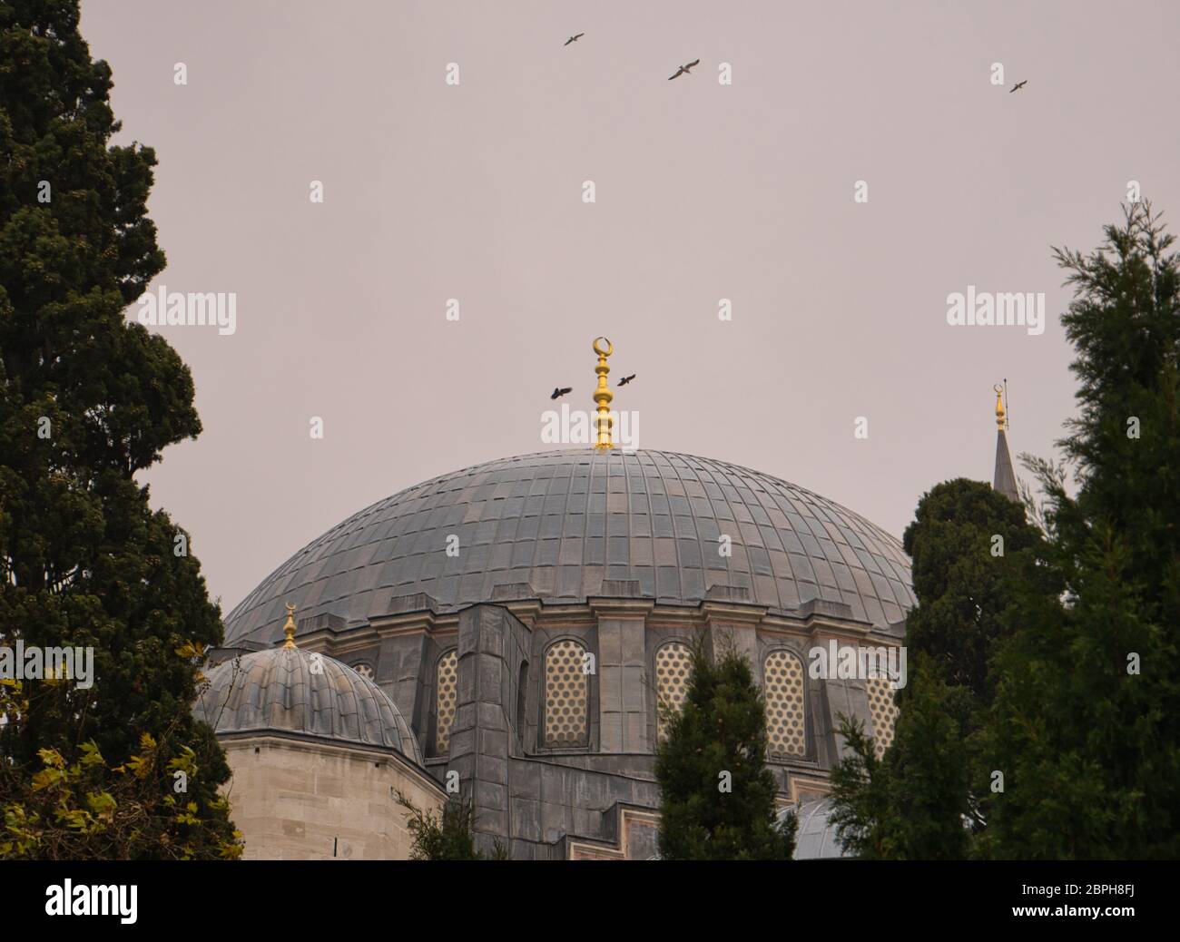 Birds circling above the dome of a large mosque in cloudy skies Stock ...