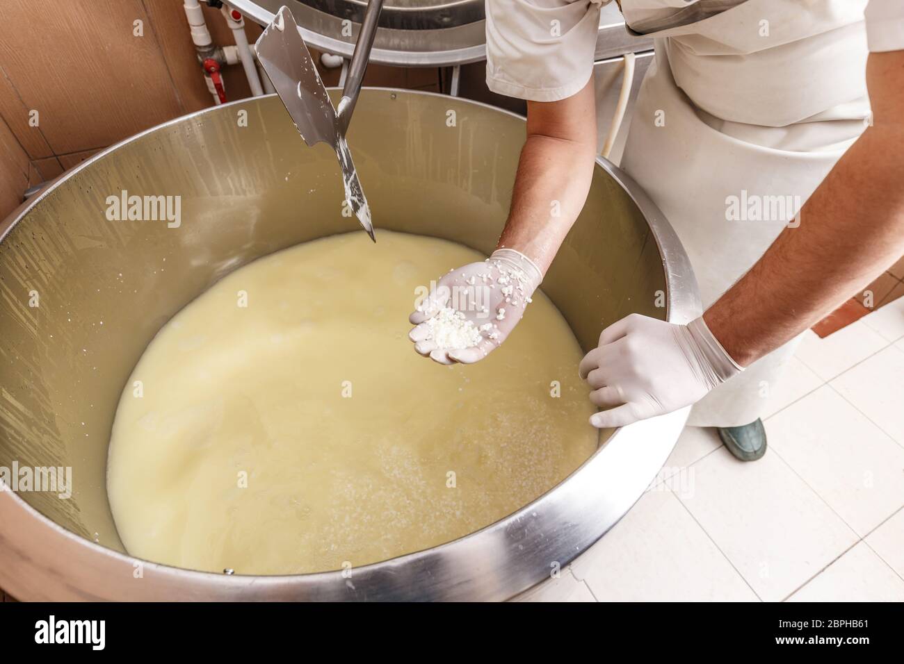 Production of fresh cheese in the dairy Stock Photo - Alamy