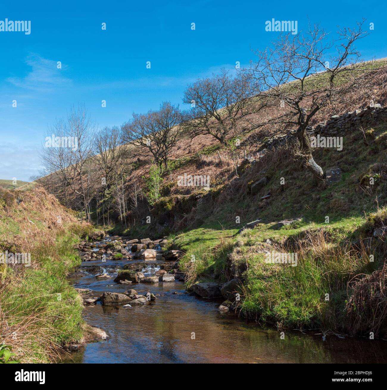 River Dane,Axe Edge Moor,where Cheshire,Derbyshire and Staffordshire ...