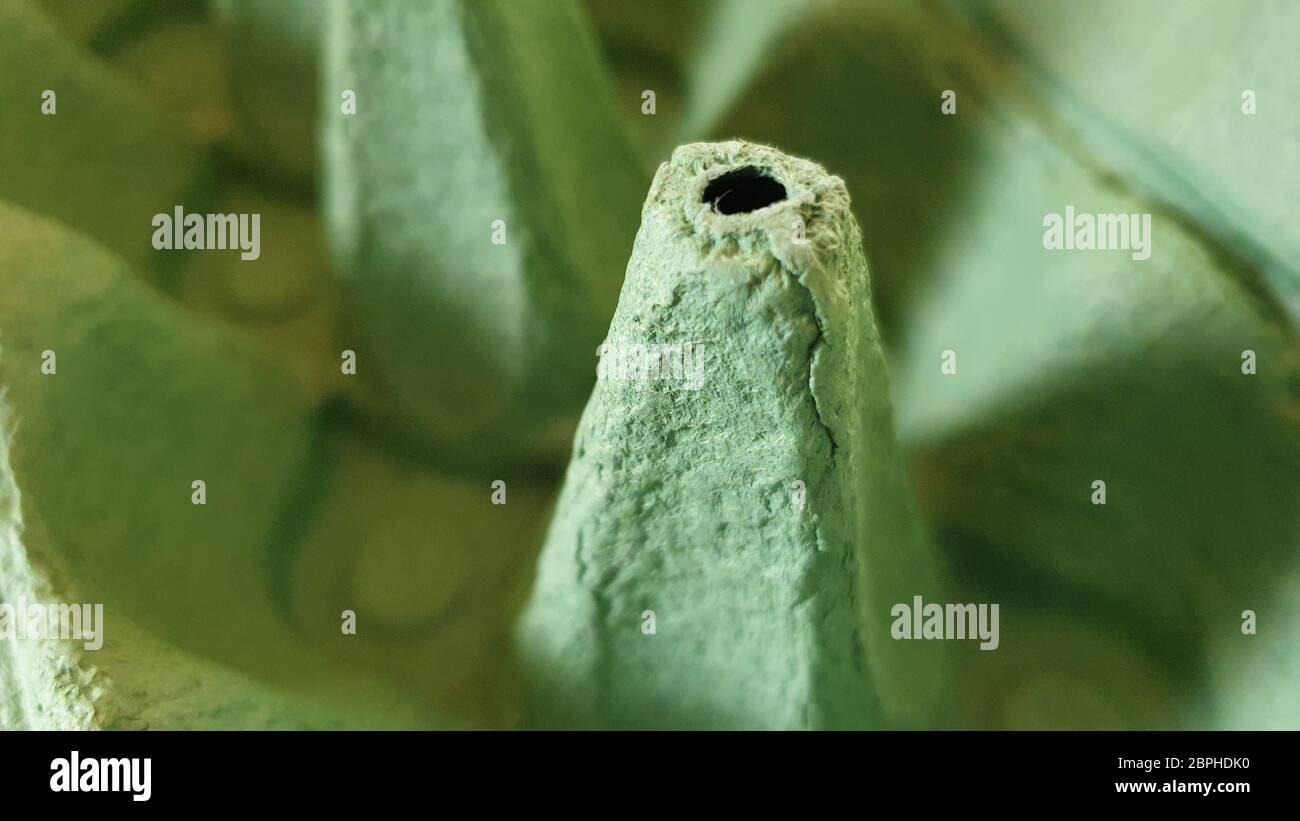 Green egg carton in close up Stock Photo - Alamy