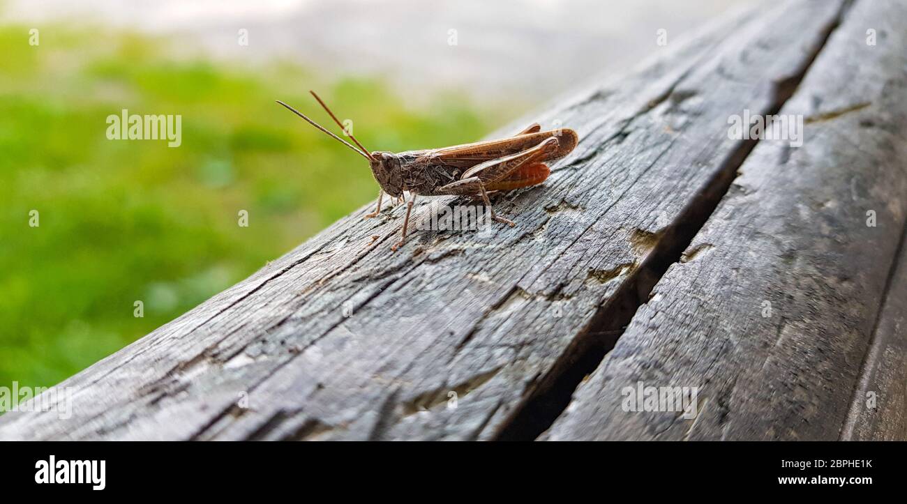 Cracked beam hi-res stock photography and images - Alamy