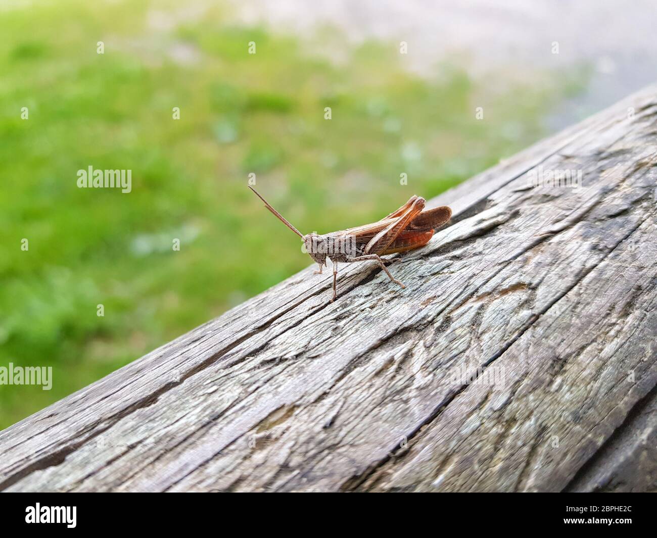 Cracked beam hi-res stock photography and images - Alamy